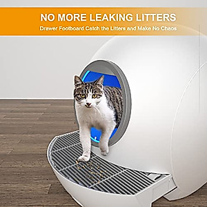 Hillpig Self-Cleaning Cat Litter Box: Extra Large Automatic Cat Litter Box with APP Control & Safe Alert & Smart Health Monitor for Multiple Cats [2023 Newest Version]