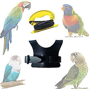 Bird Harness-Parrot Flight Belt Vest Adjustable Bird Leash Parrot Pet is an Outdoor Flight Training Rope for Small and Medium-Sized Birds (M, Yellow)
