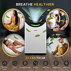 ECONIKA Air Purifiers for Large Room - 4 in 1 Humidifier and Air Purifier in One - H13 True HEPA Air Purifier for Allergies - Ionizer and UV-lamp - Covers Up to 700 Sq.Foot Home Air Cleaner