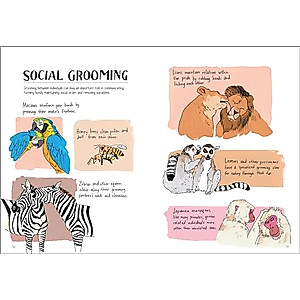 Wildlife Anatomy: The Curious Lives & Features of Wild Animals around the World