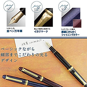 Sailor Pen fountain pen Promenade in fine 11-1031-340 Shining Blue