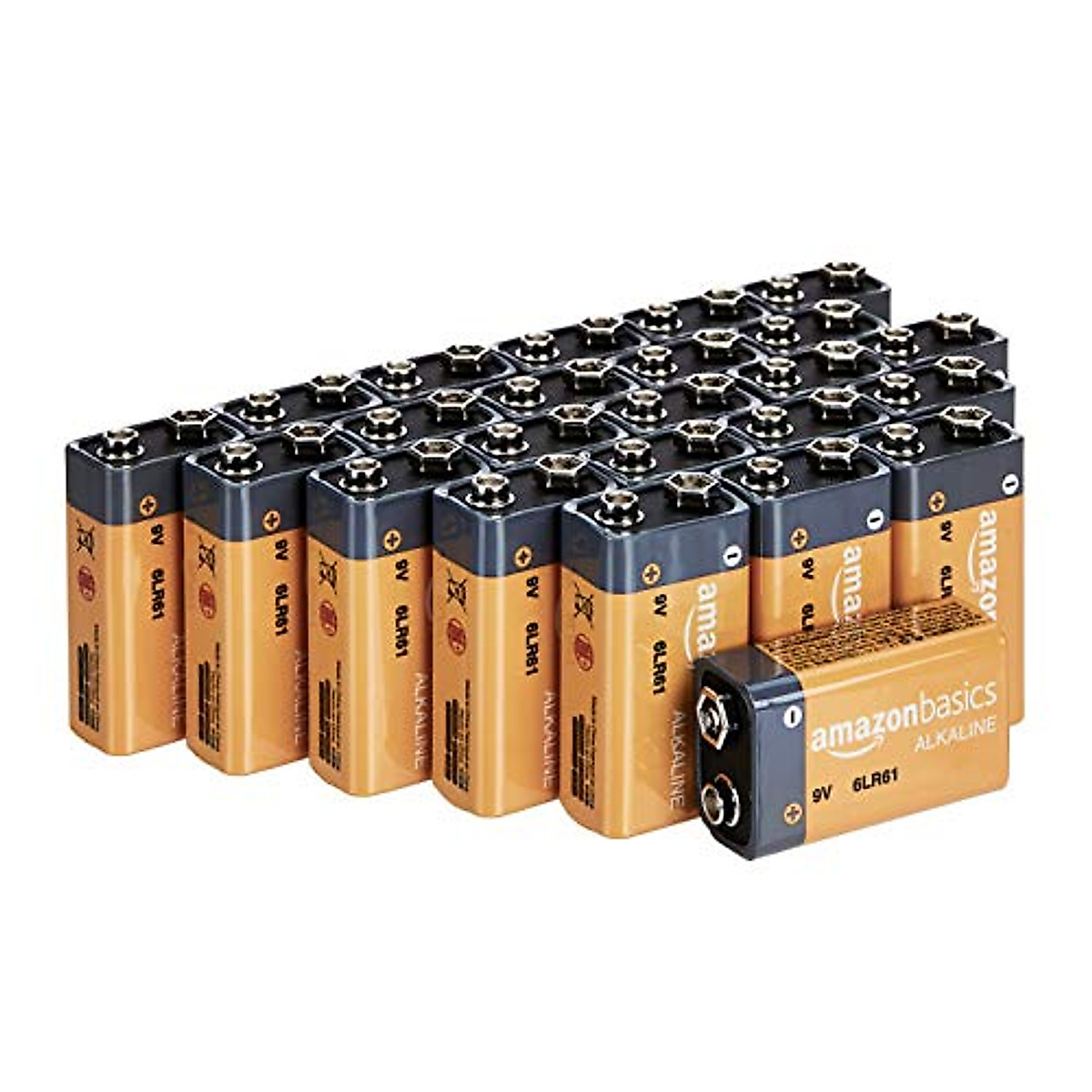 Amazon Basics 24 Units Pack 9 Volt Performance All-Purpose Alkaline Batteries, 5-Year Shelf Life, Easy to Open Value Package