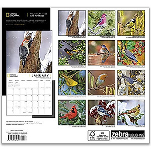 National Geographic Backyard Birds 2021 Wall Calendar