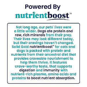 Solid Gold Canned Dog Food for Adult & Senior Dogs - Nutrientboost Hund-N-Flocken Made with Real Chicken and Healthy Whole Grains - High Calorie, High Protein Wet Dog Food - 6ct/12.5oz Cans