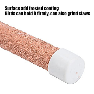 Haokaini Parrots Shower Standing Portable Suction Cup Bird Window and Shower Perch Toy for Bird Parrot Macaw Cockatoo African Greys Budgies Parakeet