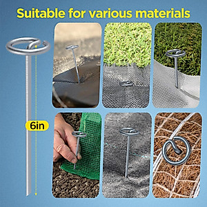 GZBEVITAR Landscape Fabric Pins, Thickened 8 Gauge Circle Top Landscape Pins, Not Easy to Bend 6 inch Galvanized Landscape Fabric Stakes, More Holding Power Garden Staples (80 Circle Top)