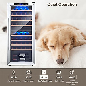 ARLIME 20 Inch Wine Cooler Refrigerator Dual Zone, 43 Bottle Wine Fridge w/Tempered Glass Door, 41℉-64℉ Temperature Control, Large Freestanding Drink Cellar for Beer