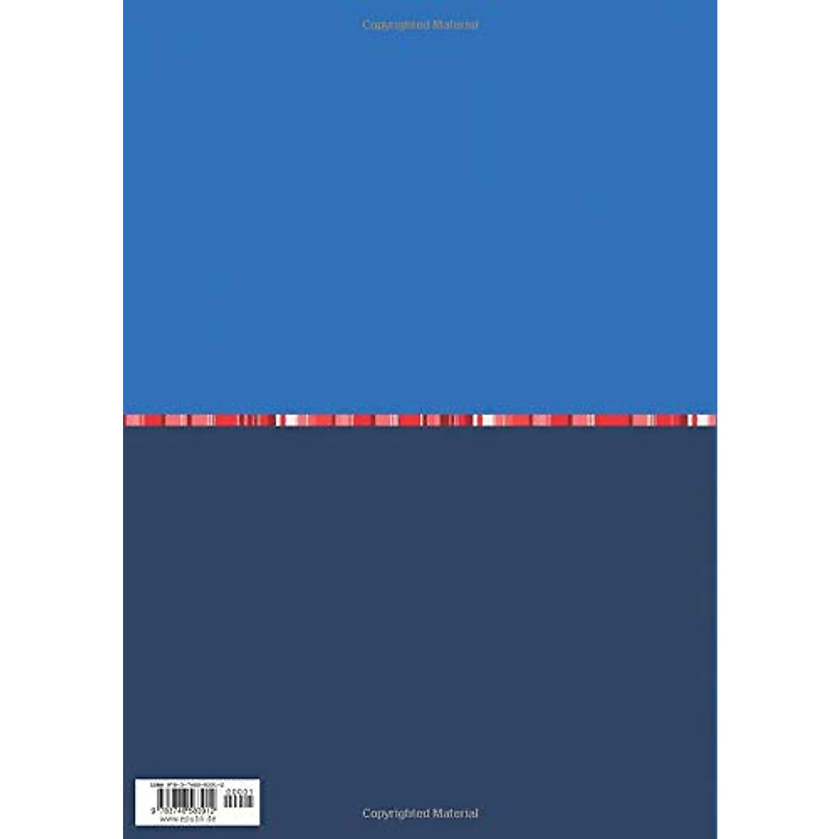 Acquisitions in the Information and Communication Technology Industry—Buyer Capabilities, Technology Hype, and Target Maturity