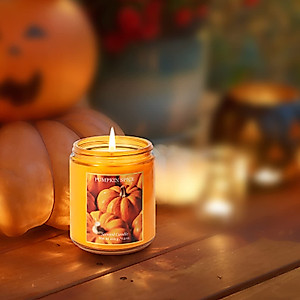 STRN Pumpkin Pie Scented Candle Aromatherapy Candle Gift Set for Fall and Winter, Christmas Gift Handmade Soy Wax Candle Set (200 g Pumpkin Pie)