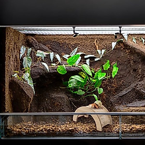 Hermit Crabs Climbing Bridge, Hermit Crab Climbing Toys with Jute Cloth, Wooden Hermit Crab Hideout, Habitat Decor Aquarium Terrarium Tank Cage Accessories for Hermit Crab Hamster Chinchilla Ferret