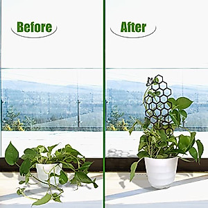 2 Pack Metal Trellis for Houseplants, 19 Inch Garden Plant Trellis for Indoor Climbing Plants, Honeycomb Shape Trellis for Ivy Pothos Vines Hoya Flower