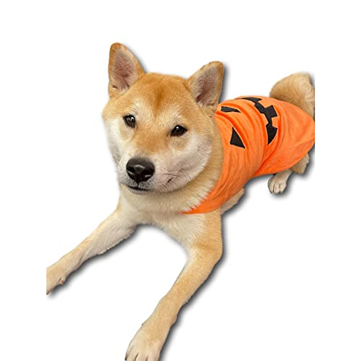 ComfyCamper Pumpkin Dog Costume - X Large Medium Small Shepherd French Lab Retrieve Pet Cosplay Halloween Costumes (X-Large)