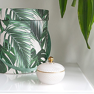 BRIGANTI Scented Candle in White Glass Jar (Vanilla Cupcake) Vanilla Bean, Buttercream, Cake, and Bourbon | Elegant Candle for Home Aromatherapy, All Natural Soy Wax 4oz