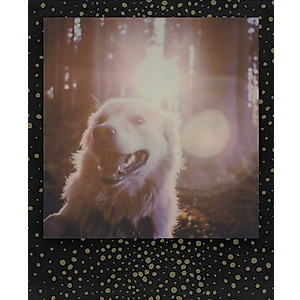 Polaroid Originals - 4932 - Color Film for 600 - Gold Dust Edition