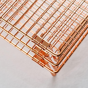 Kingrol 2 Pack Stainless Steel Cooling Racks with Collapsible Folding Legs, Stackable Grid Wire Racks for Cooking and Baking, Rose Gold