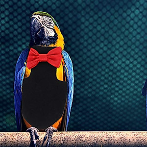 Balacoo Bird Diaper with Bow Bird Flight Suit for Budgie Parakeet Cockatiel Cockatoo African Macaw