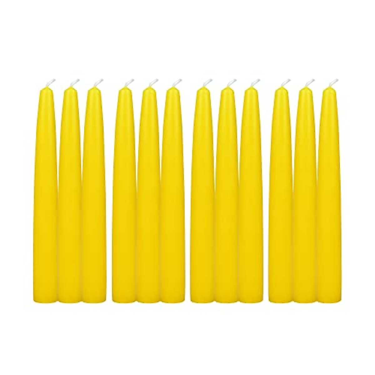 Zest Candle 12-Piece Taper Candles, 6-Inch, Yellow