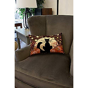 Toland Home Garden Moonlight Cat 12 x 19 Inch Indoor, Pillow Case (2-Pack)