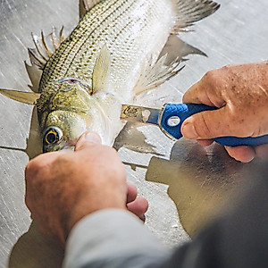 Cuda 6 Piece Fillet Knife Set | 4 Filleting Knives with Titanium Bonded Blade & Non-Slip Grips, Knife Sharpener & Prym1 Heavy Duty Case Included