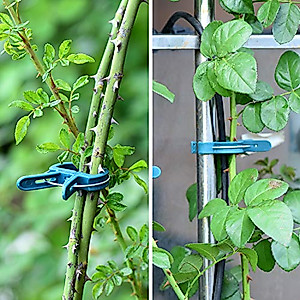 PERSZEN 60PCS Plant Clips 2 Sizes Adjusting Garden Plant Clips Reusable Plant Supports Clips for Supporting Stems of Flower Vine Vegetables Tomatoes Climbing