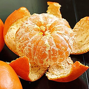 Mandarin Orange Seeds Cold Hardy Mandarin, Citrus Unshiu, Satsuma Orange Evergreen Sweet Organic GMO Free Home Garden Outdoor 25Pcs Fruit Seeds YEGAOL Garden