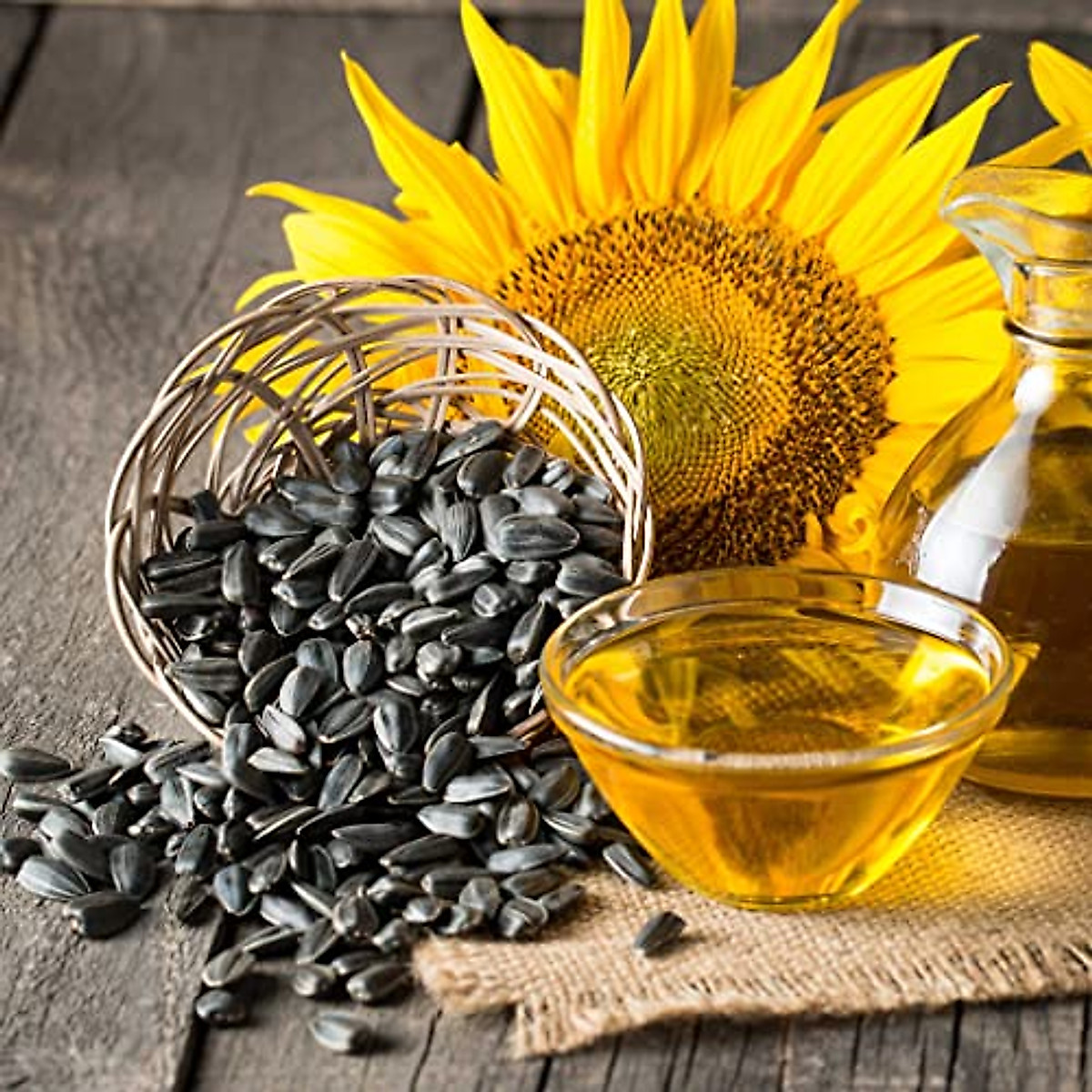 Sunflower Seeds - Black Oil Microgreen - 5 Pounds - Yellow Flower Seeds, Open Pollinated Seed Attracts Bees, Attracts Butterflies, Attracts Hummingbirds, Attracts Pollinators