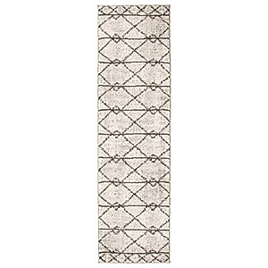 SUPERIOR Aneela Indoor Area Rug