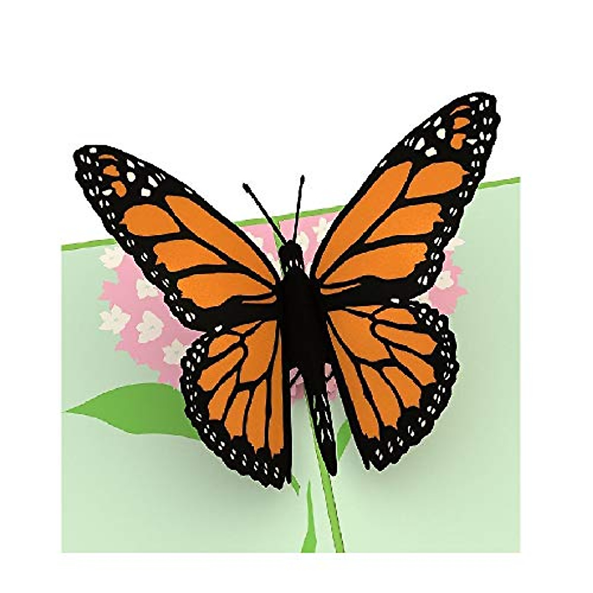 Lovepop Butterfly Pop Up Card, 5x7-3D Greeting Card, Mother's Day Card, Card for Wife or Mom, Anniversary Pop Up Card, Pop Up Birthday Card