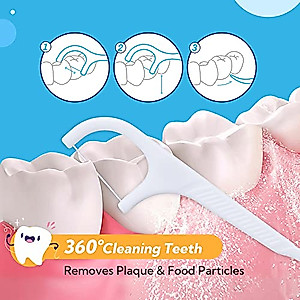 Hyslor Floss, Dental Floss Picks 600 Count, No-Stretch, No-Shred & No-Break Use, Smooth and Thin Floss for Clean Teeth and Gums, 2 Portable Travel Cases