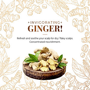 CP-1 GINGER PURIFYING SHAMPOO, Recovery Strengthening care, Scalp care, 16.9 fl oz