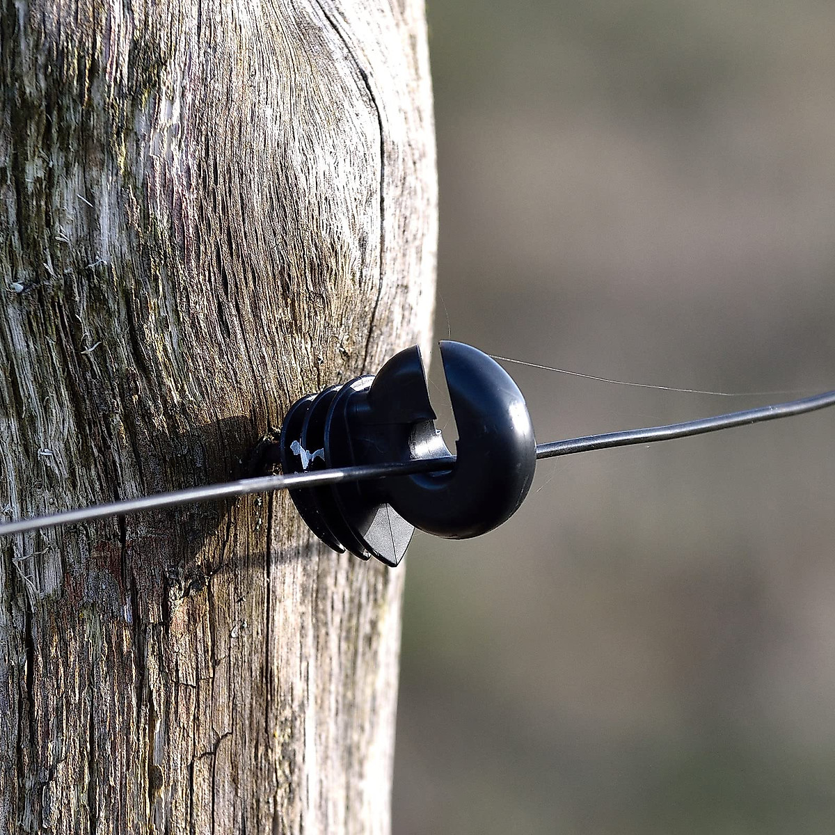 PATIKIL Electric Fence Insulator Screw-in Ring Insulator 12pcs Wood Post Insulator Red for Farm Fencing Power Grid System with Nut