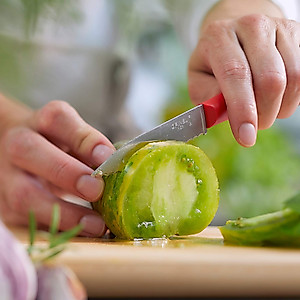 Opinel Les Essentials+ No. 313 Serrated Paring Knife, Corrosion Resistant + Dishwasher Safe, Made in France, Red