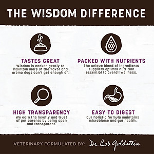 Earth Animal Wisdom Air-Dried Jerky Turkey Recipe | Dog Treats | Dog Snacks | Premium Natural Turkey Jerky Strips | 4 oz | Dog Treats Made in The USA (Pack of 1)