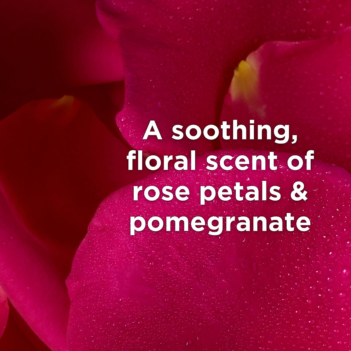 Andalou Naturals Body Btr, 1000 Roses, Velvet Soft, 8 Fl Oz