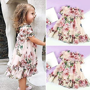 Toddler Baby Girls Flower Print Ruffles Princess Dress Sundress Clothes Outfit (6-12 Months, Pink)