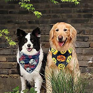 PurrNbark Halloween Dog Bandanas for Small Medium Large Breed Dogs and Cats Dog Bandana Girl Boy Scarf 2Pack Halloween Costumes Accessories Pumpkin Skeleton Ghost Pattern Black