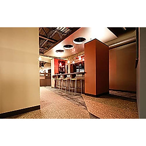 Proflex Black Vinyl Wall Base 2-1/2 inch X 20 ft Non Glue Wall Base Trim Durable and Flexible - Easy Install Vinyl Floor Base That Resists Scuffing, Cracking and is Ideal to Use All Around Your Home