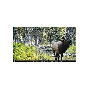 Browning Trail Cameras Dark Ops Extreme Camera, 720p