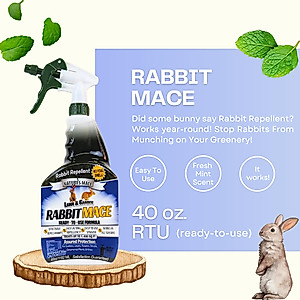 Nature’s MACE 40 Ounce Rabbit Repellent Spray, Rabbit Deterrent for Garden, Rabbit Repellent Outdoor, Rabbit Repellent for Garden, Safe for Dogs, Pets, People, & Plants