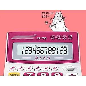 Desktop Calculator 12 Digit Large LCD Display Financial Dedicated Calculator Large Standard Function Calculator for Office/Home Calculators