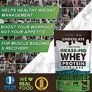 Chocolate Whey Protein Powder - Grass Fed Whey Isolate + Organic Cacao + Real Sugar + Himalayan Salt - Delicious Taste for Shakes, Smoothies, Cooking & Baking Recipes - Gluten Free & Non GMO - 1 Pound