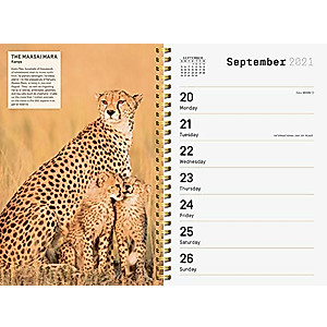 1,000 Places to See Before You Die Engagement Calendar 2021