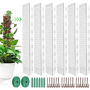Gardzizy Plastic Moss Pole 6 Pcs 24 Inch Moss Poles for Plants Monstera Climbing Plants, Plant Support for Indoor Plants Work with Sphagnum Moss (6 Pack)