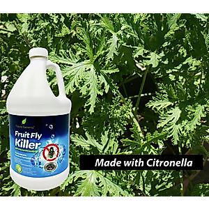 Natural Elements Fruit Fly Killer | Drain Flies, Gnats, Flying Ants | Home & Commercial Use | Non-Toxic Gel Formula | 1 Gallon | 128 Fl Oz