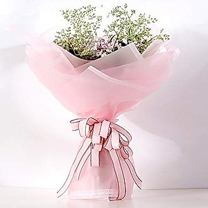 BBC Translucent Waterproof Flower Wrapping Paper, 20 Counts, 23.6x23.6 Inch (Pink)