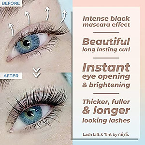 MIYA LASH Lash Lift Kit | Keratin Eyelash Perm Kit | Semi Permanent LVL Curling & Lifting Eyelashes | Includes All Tools & Accessories | Professional Result | Home & Salon Use | Vegan Eyelash Lift Kit