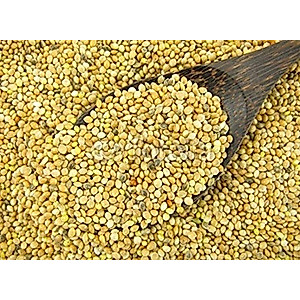 Proso Millet - Makes Great Amounts of Seeds for Birds - Beautiful in The Garden(100 - Seeds)
