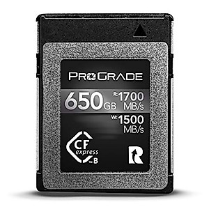 ProGrade Digital Memory Card - CFexpress Type B for Cameras | Optimized for Express Transfer of Files & Large Storage | 650GB Cobalt Series