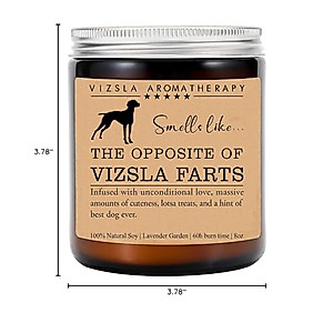 Vizsla Candle, Vizsla Funny Dog Gift, Vizsla Mom, Vizsla Dog Candle, Birthday Gift, Vizsla Owner Gift, Dog Lovers Gift, Vizsla Parents Day Gift