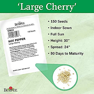 Burpee Large Cherry Hot Pepper Seeds 150 seeds